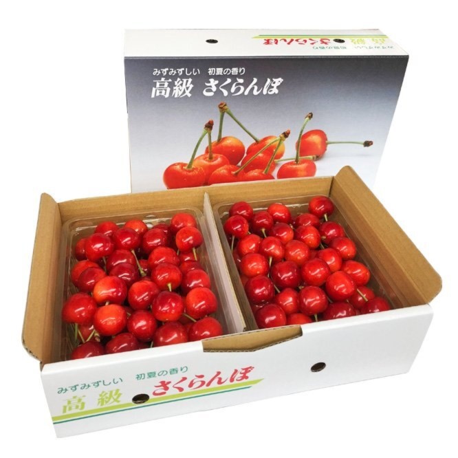 山形県産 さくらんぼ Lサイズ 佐藤錦 1キロ｜さくらんぼの商品詳細｜ポケットマルシェ｜産地直送で旬の食材が生産者(農家・漁師)から届く