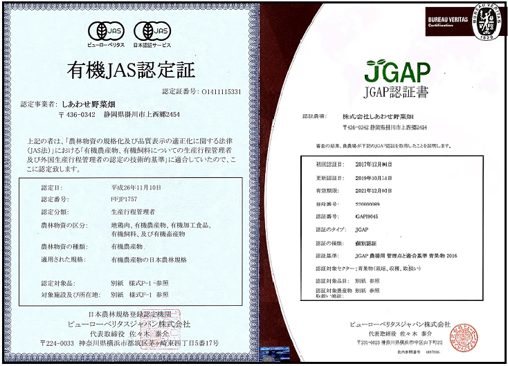 オーガニック野菜セット「クール便」（有機JAS認証・JGAP認証 有機野菜） ｜野菜の商品詳細｜ポケットマルシェ｜産直(産地直送)通販 - 旬の果物・野菜・魚介をお取り寄せ