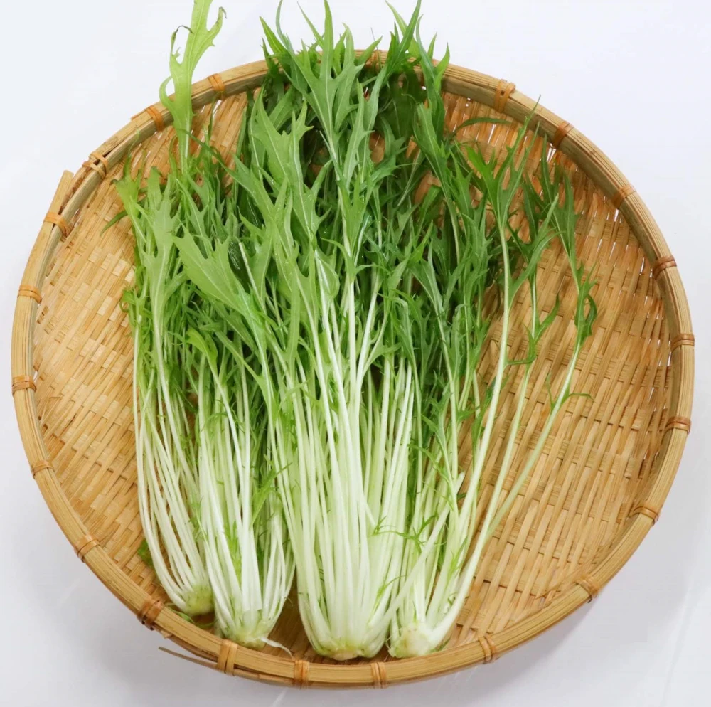 低カリウム野菜「Dr,ULHAドクターウルハ」えらべる10袋セット｜野菜の商品詳細｜ポケットマルシェ｜産直(産地直送)通販 - 旬の果物・野菜 ...