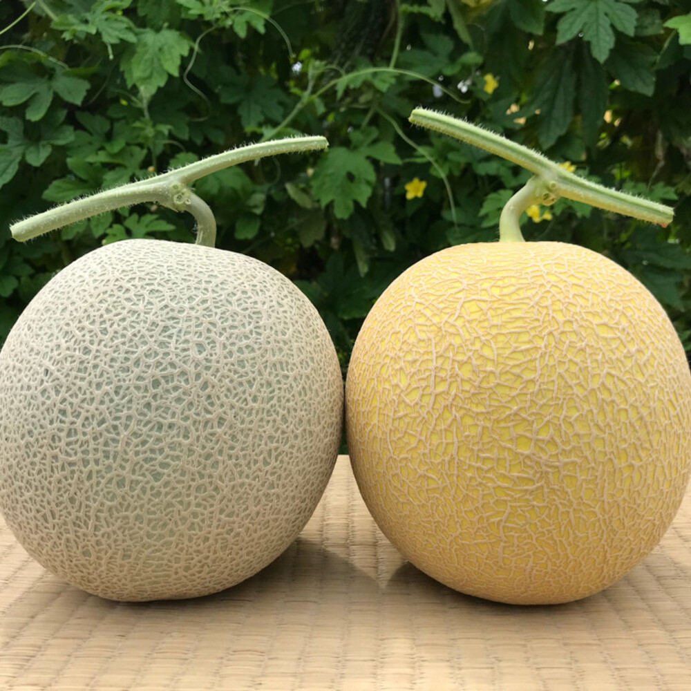 山崎孝史 | 農家漁師直送のポケットマルシェ