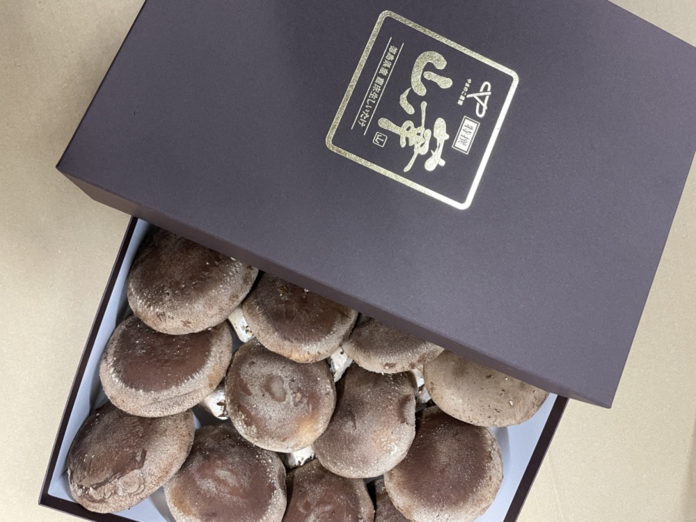 クール便 発送 贈答用 徳島県産 ブランド生椎茸【山ノ華】｜しいたけの商品詳細｜ポケットマルシェ｜産地直送で旬の食材が生産者(農家・漁師)から届く