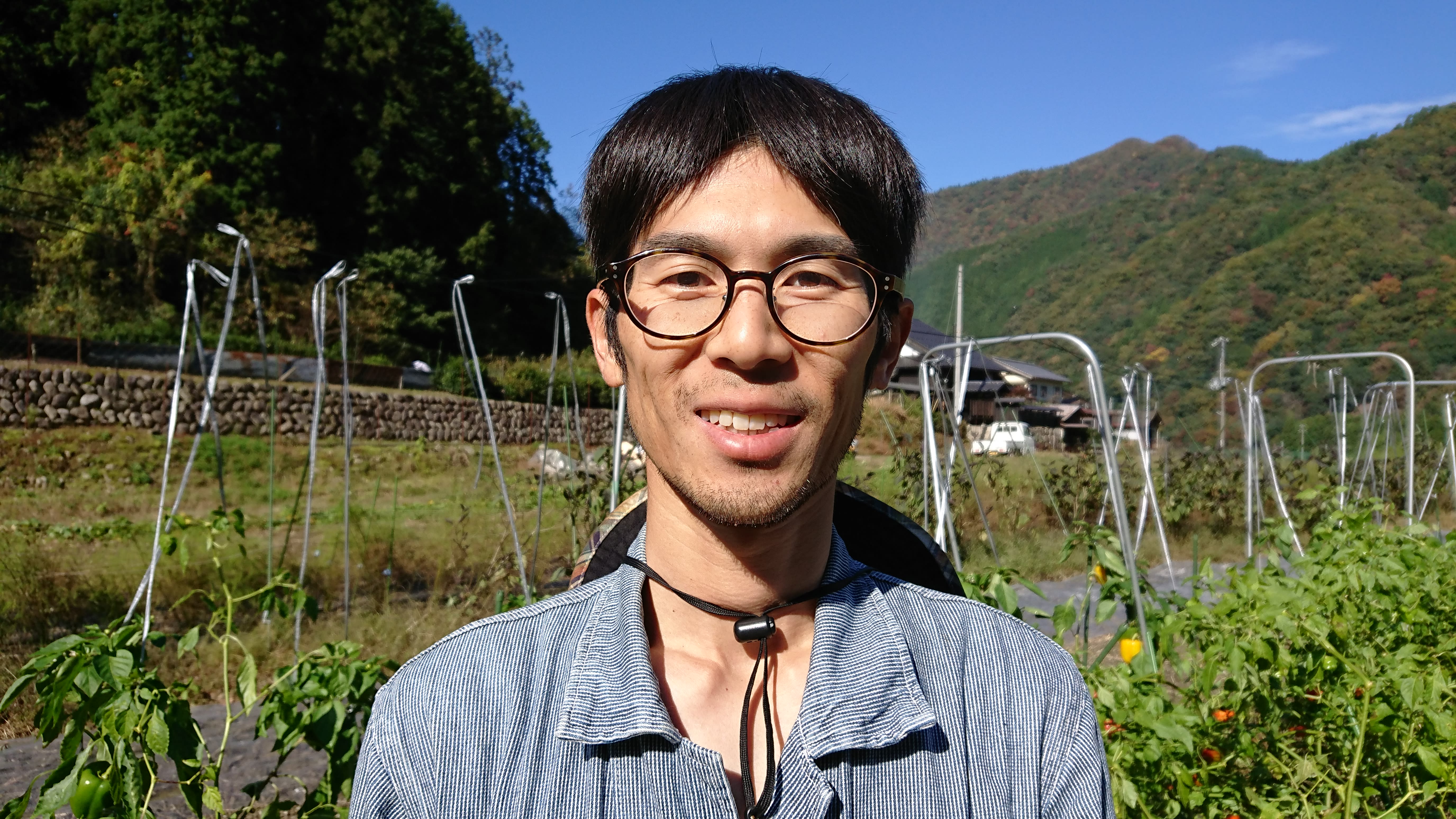 兵庫県養父市｜NF Farm｜狭間健治さんの生産者プロフィール｜ポケットマルシェ｜産地直送で旬の食材が生産者(農家・漁師)から届く